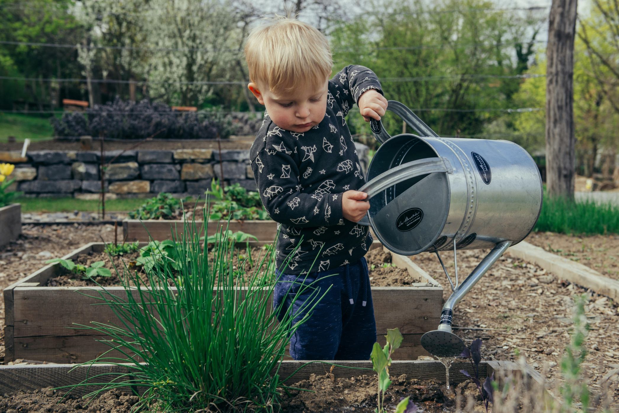 Kindy Box – Veg Babies